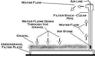 Undergravel Filter Diagram Reverse Under Gravel Filter Reef2Reef